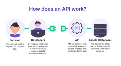 Sheik Raseeth Ansar On Linkedin Api