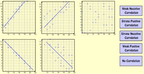 Scatter Plot Correlation Worksheet E