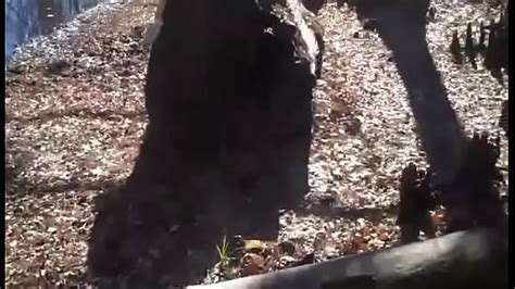 My Step April Lurea Mom Showing Her Skill On A Log Xxx Mobile Porno