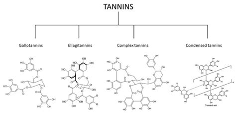 Tannin Structure