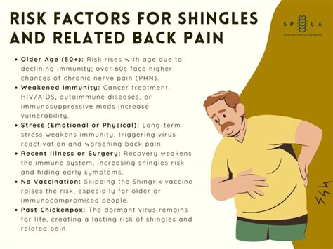 Can Shingles Cause Back Pain Spine And Pain Institute Los Angeles
