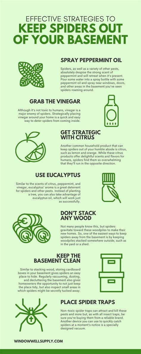Effective Strategies To Keep Spiders Out Of Your Basement Window Well Supply
