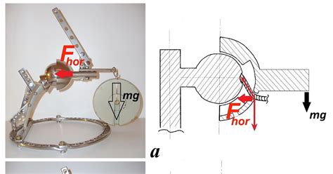 2025arkhipovsv Why Acetabular Labrum Repair May Be Ineffective