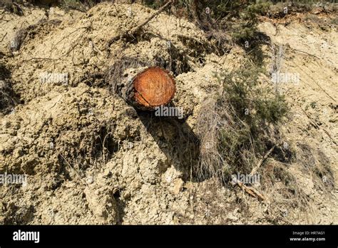 Landslide Prevention Stock Photos Landslide Prevention Stock Images Alamy