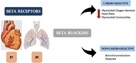 Efficacy And Safety Of Beta Blockers In Patients With Comorbid Chronic Obstructive Pulmonary