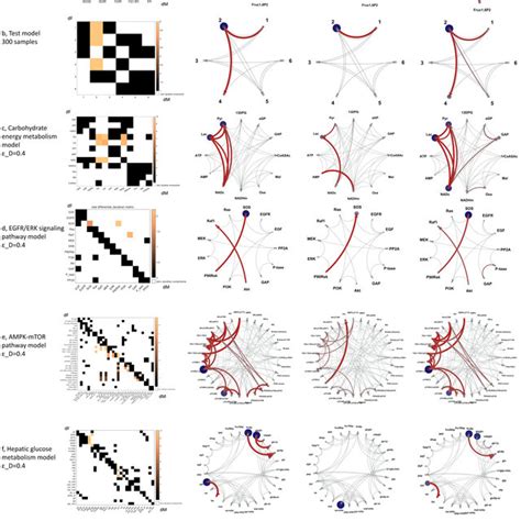 The Inverse Differential Metabolic Interaction Network With Both L P