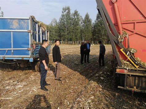 济宁市人民政府 各地快报 微山：市农机中心督导组到微山督导三秋农机化生产工作