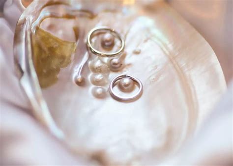 조개 껍데기 안에 작은 진주가 보글보글🦪 천연 진주 껍데기를 링 필로우로 만드는 로맨틱한 방법🤍 Marry