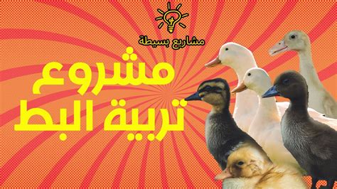 صور مصغره صور