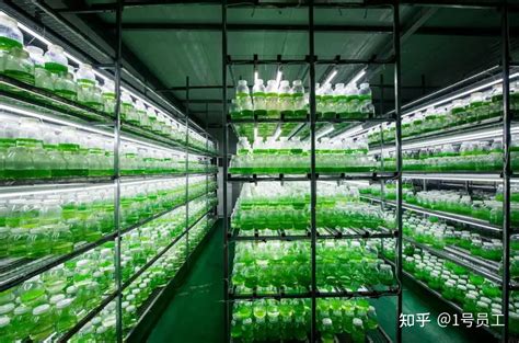 组培室的设计原则和要求 知乎