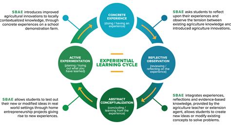 Experiential Learning Cycle Sbae