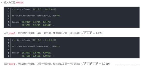 【pytorch】fnormalize计算理解 Csdn博客