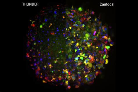 Harnessing Microfluidics To Maintain Cell Health During Live Cell