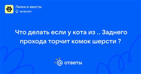 Что делать если у кота из Заднего прохода торчит комок шерсти Ответы Mail