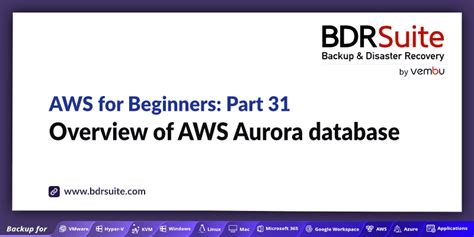 Overview Of Aws Aurora Database Bdrsuite