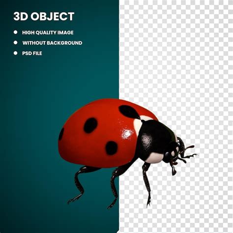 Premium Psd 3d Ladybird Beetle Insect