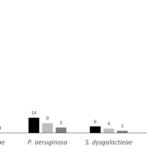 Microbial Distribution Of The Most Common Bacteria Isolated From Download Scientific Diagram