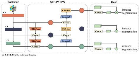 Improved Real Time Models For Object Detection And Instance Segmentation For Agaricus Bisporus
