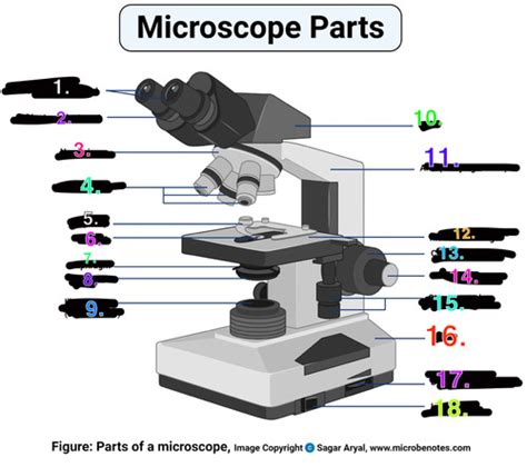 Lab Prac Micro Flashcards Quizlet