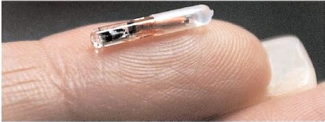 Get Me Known Microchip Vom Eisenwacht Rottweilers