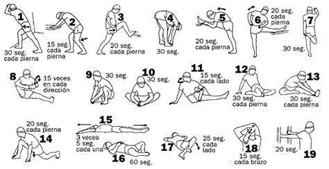 Estiramientos Grupos Musculares Entrenamiento Personal Y Con