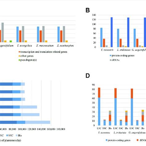 Numbers And Types Of Repeat Elements A Tandem Repeats B Dispersed