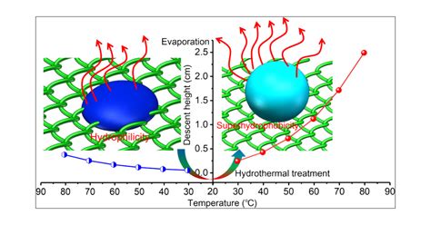 Superhydrophobic Porous Cylindrical Barrel Founded On Stainless Steel Mesh For Interfacial Water