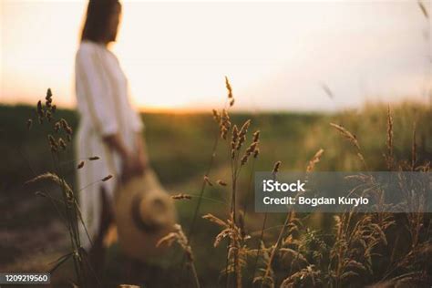 여름 초원에서 흐린 여자의 배경에 일몰 빛에 허브와 잔디 야생화는 시골에서 저녁에 휴식을 취하는 따뜻한 빛과 소박한 소녀에 닫습니다 고요한 순간 걷기에 대한 스톡 사진 및