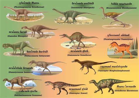 กิจกรรมที่ One กิจกรรมตอบคำถามโดนใจ 1 กด Like And Share โพสต์นี้ ไปยังหน้าไทม์ไลน์ของคุณ พร้อม