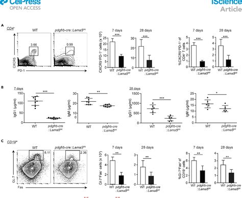 Figure 2 From The Extracellular Matrix Of Lymph Node Reticular Fibers