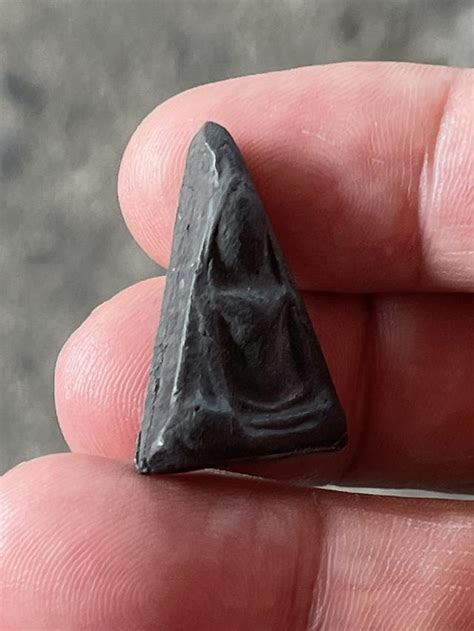 ชื่อพระเครื่อง นางพญาหลังตะแกรง หลวงพ่อเทียม วัดกษัตราธิราช อยุธยา ปี2519 Ennxo