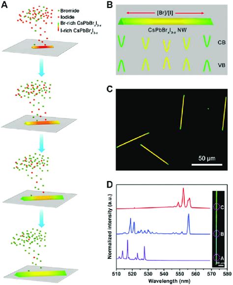 Dual Color Lasing From Composition Graded Perovskite Nanowires A