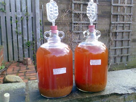 Ben S Adventures In Wine Making Prune And Parsnip Wine 2014 The Making