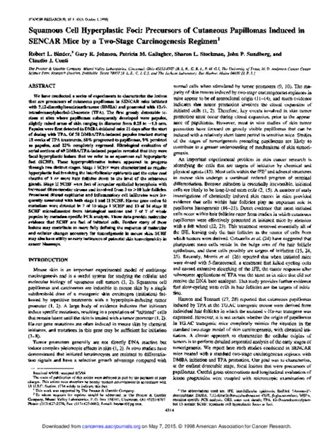 Pdf Squamous Cell Hyperplastic Foci Precursors Of Cutaneous
