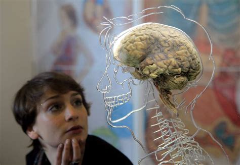 Memory Capacity Of The Human Brain Is 10x More Than Previously Thought