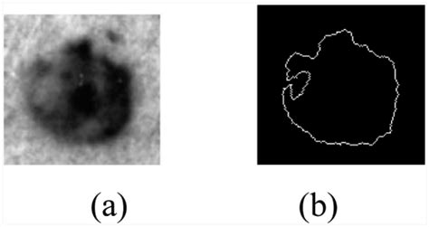 Fractal Dimension Calculation Using The Method Box Counting A