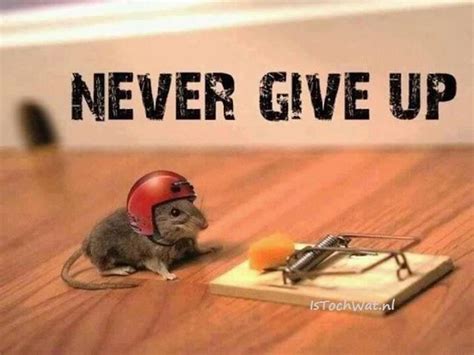 De Aanhouder Wint