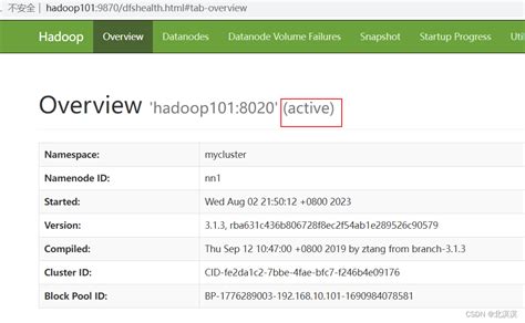 （十一）大数据实战——hadoop高可用之hdfs手动模式高可用hdfs 手动复制 Bootstrapstandby Csdn博客