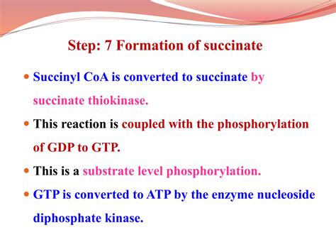 TCA CYCLE ITS REGULATION PPTX