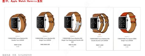 Applewatchherm S