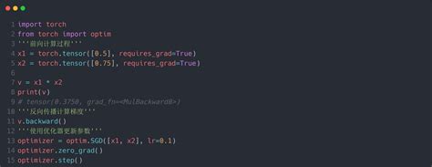 The Basic Knowledge Of Torch Train Pipeline Cai Jianfeng