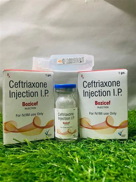 Volks Biotech Ceftriaxone Injection Ip 1 Gm At ₹ 63 31 Box In Ambala Id 2852908282773