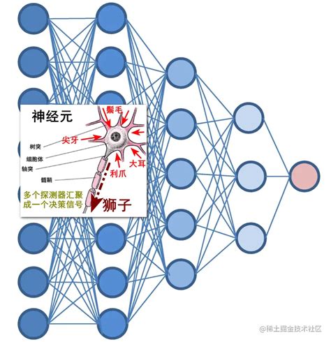 简述神经网络原理为什么AI就出现了智慧因为大家也都会好奇程序是死板的代名词是人类编的指令它只会按照设定的代码 掘金