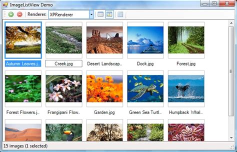 Custom Renderers Imagelistview