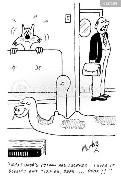 Reticulated Python Cartoons And Comics Funny Pictures From Cartoonstock