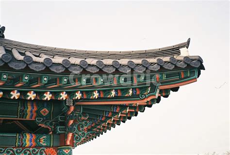 단청 단청문양 기와 목조건물 단청건물 사진 이미지 일러스트 캘리그라피 Alan Cho작가