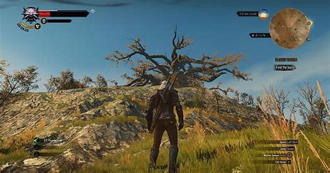 Just Some Witcher 3 Screenshots Album On Imgur