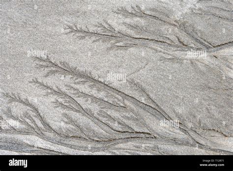 Sedimentary Fluid Sand Flows Mars Like Water Fluvial Ridge Patterns On A Tidal Beach For Go