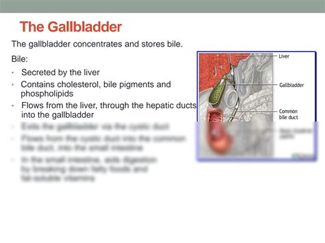 Solution Biliary Tract Disease Studypool