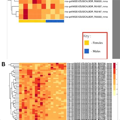 Fig S7 Differential Gene Expression Analysis For Plastic And Sex A Download Scientific